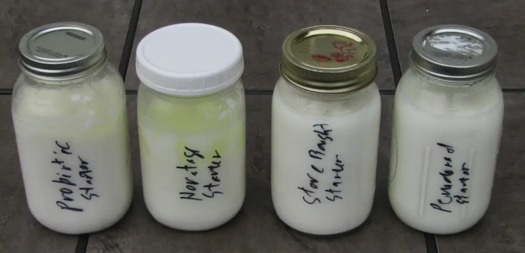 Four Cultures To Use For Yogurt Starter – Urban Fermentation